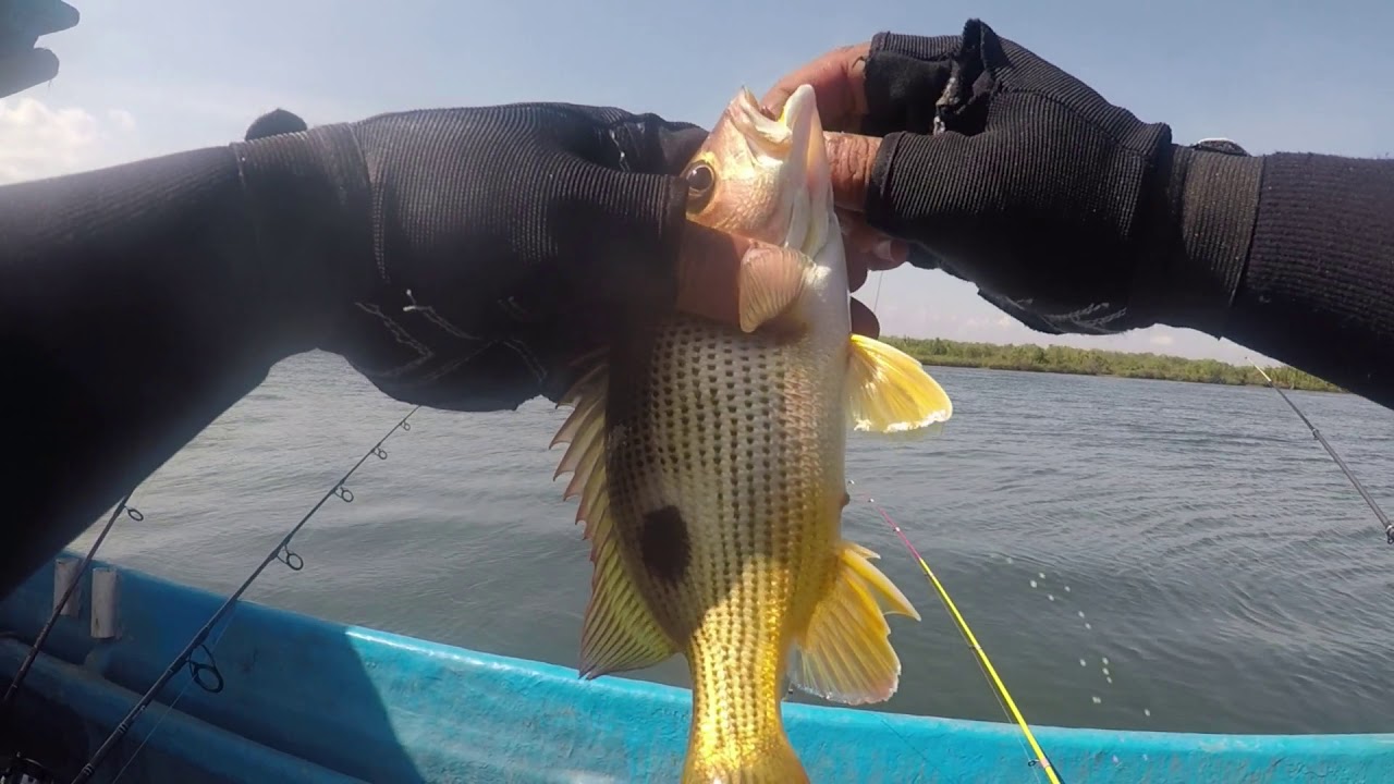 Mancing piknik di segara Anakan cilacap - YouTube