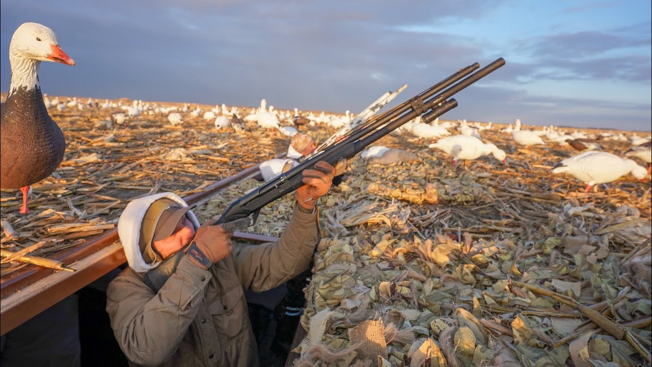 South Dakota Pit Blind Snow Goose Hunting in April!! Part 1 - YouTube
