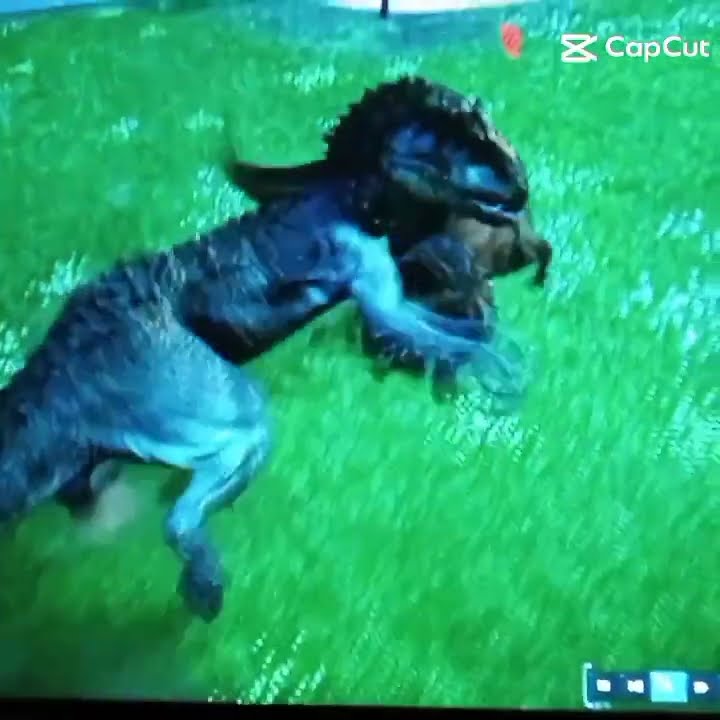 T Rex got humbled.. xbox jurassic world evolution 2 - YouTube