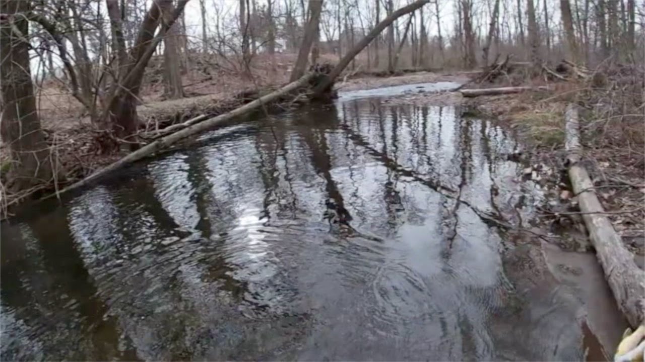 Riverwatch January 7, 2022 - YouTube