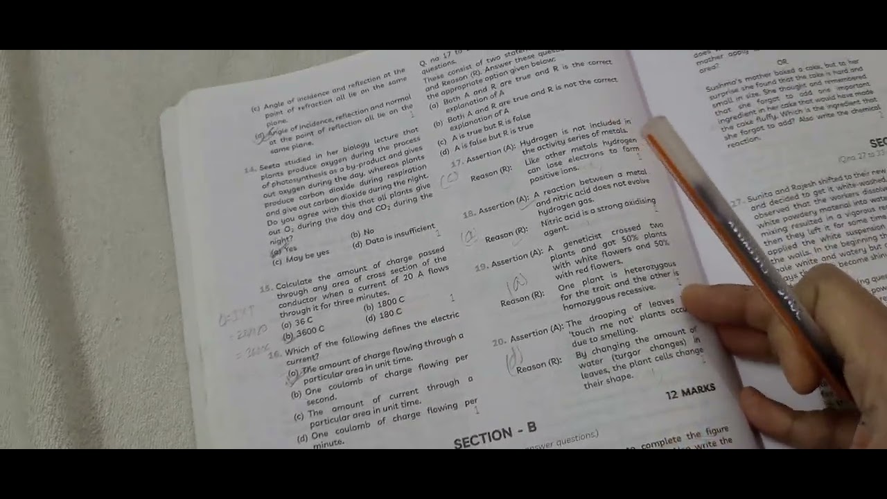 (All MCQs) Science Class 10 All Chapters - Part 2 - YouTube