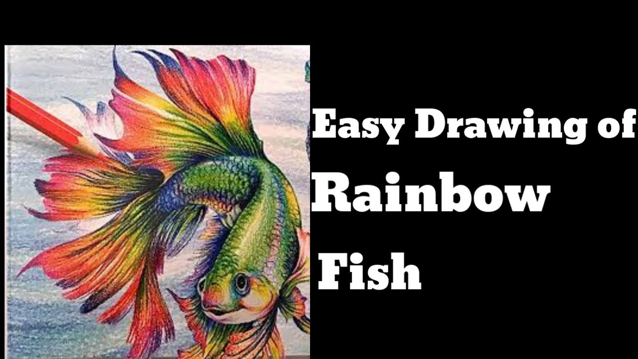 how to draw Rainbow Fish simple drawing of Rainbow Fish - YouTube