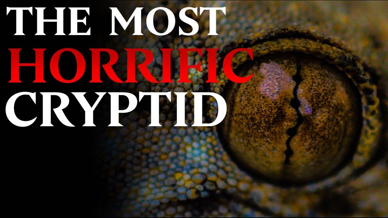 The BUM LIZARD of the Pacific Northwest - YouTube