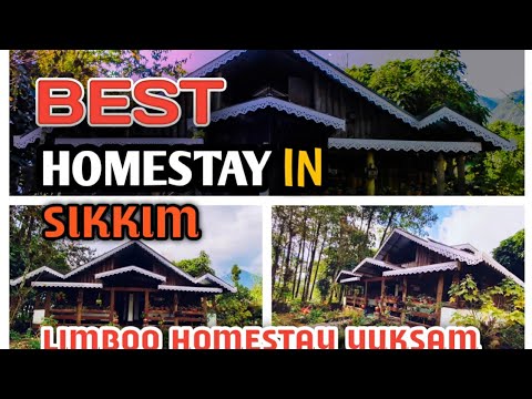 Best Homestay in Sikkim |Limboo Homestay ||yuksam west Sikkim - YouTube