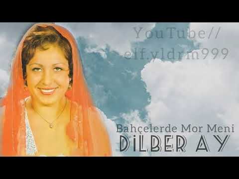 Dilber Ay- Bahçelerde Mor Meni