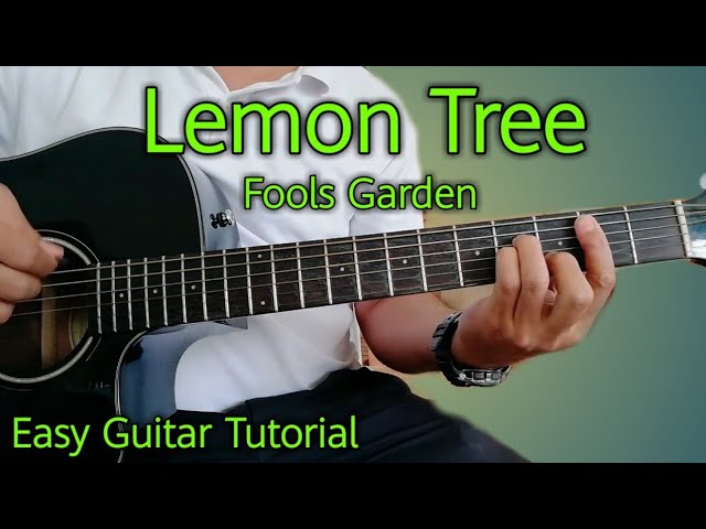Lemon Tree Guitar Chords