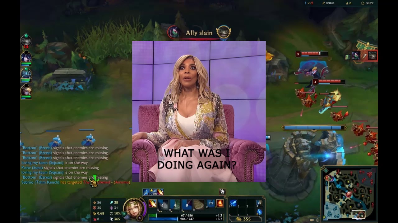 Sona.exe Ft. Mii - YouTube