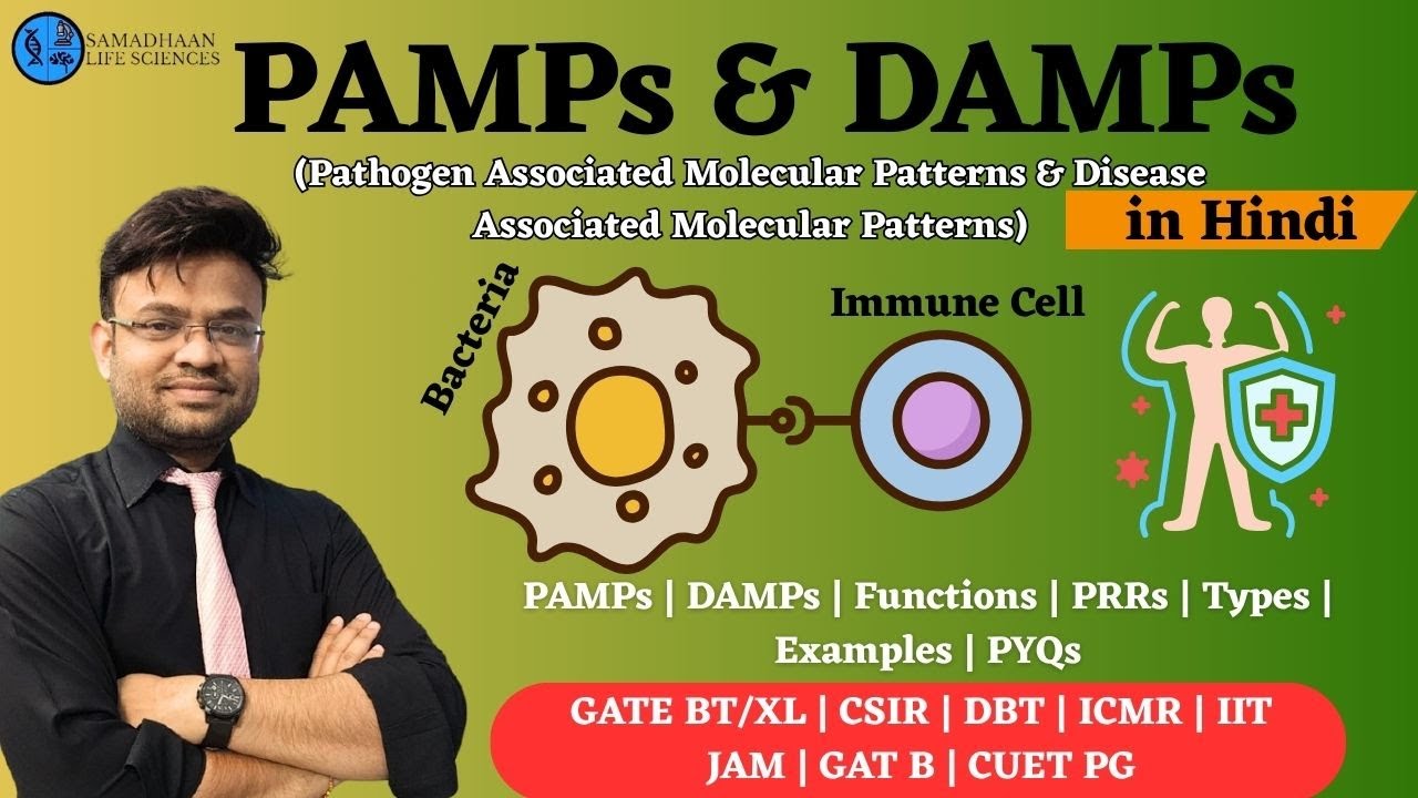 PAMPs & DAMPs Explained with PYQs | Innate Immunity | GATE BT, CSIR NET ...