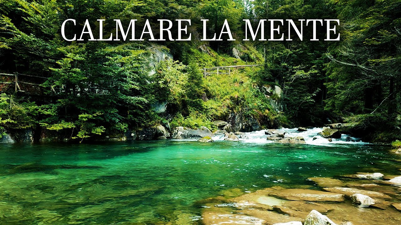 Natura Rilassante e Musica Zen per Equilibrare la Mente, Musica ...