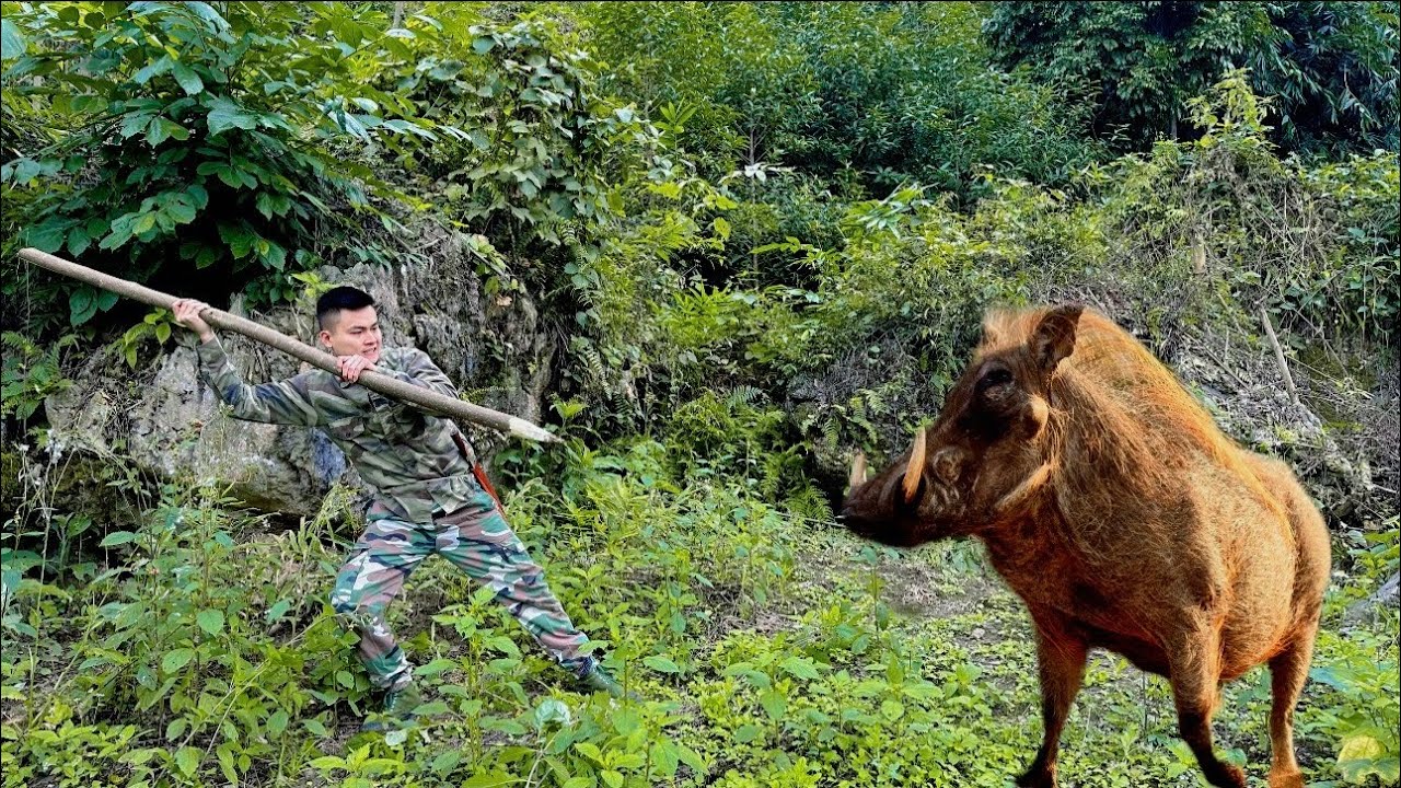 Full Video: Wild Boar Trap, Wild Chicken Hunting, Grapefruit Picking ...