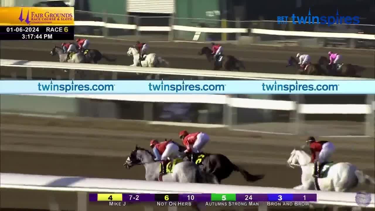 2023 Gary P. Palmisano Memorial Stakes - YouTube