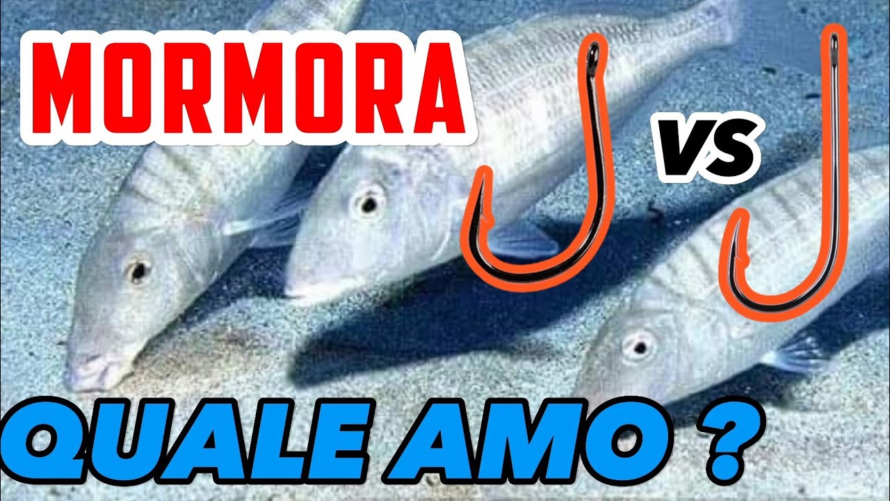 Come Scegliere l'Amo Perfetto per la Pesca alla Mormora: Guida Completa ...