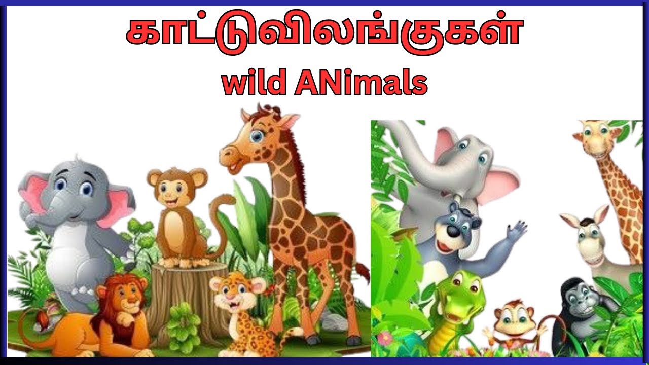 காட்டுவிலங்குகள் | kattu vilangugal|Tamil and english wild animals name ...