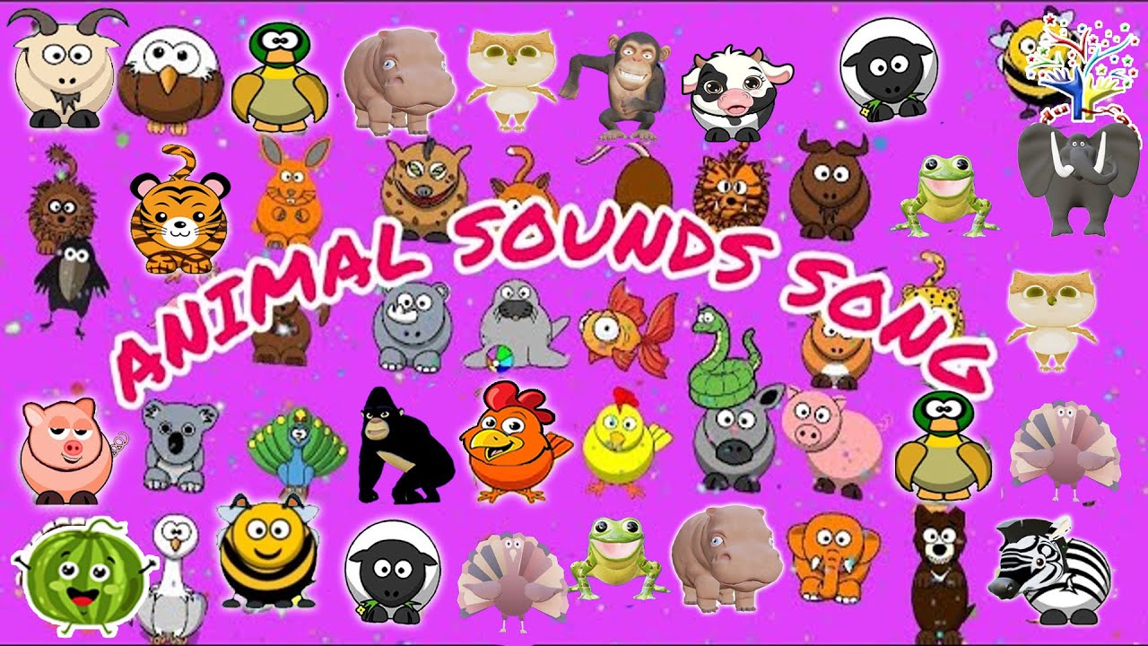 The Animal Sounds Song || At The Zoo Song! Z2AFA || Just for you ...