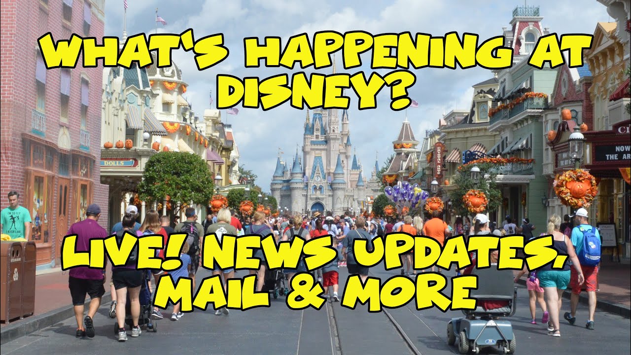 What's Happening at Disney? News, Updates, Q&A and More! Nov Livestream ...