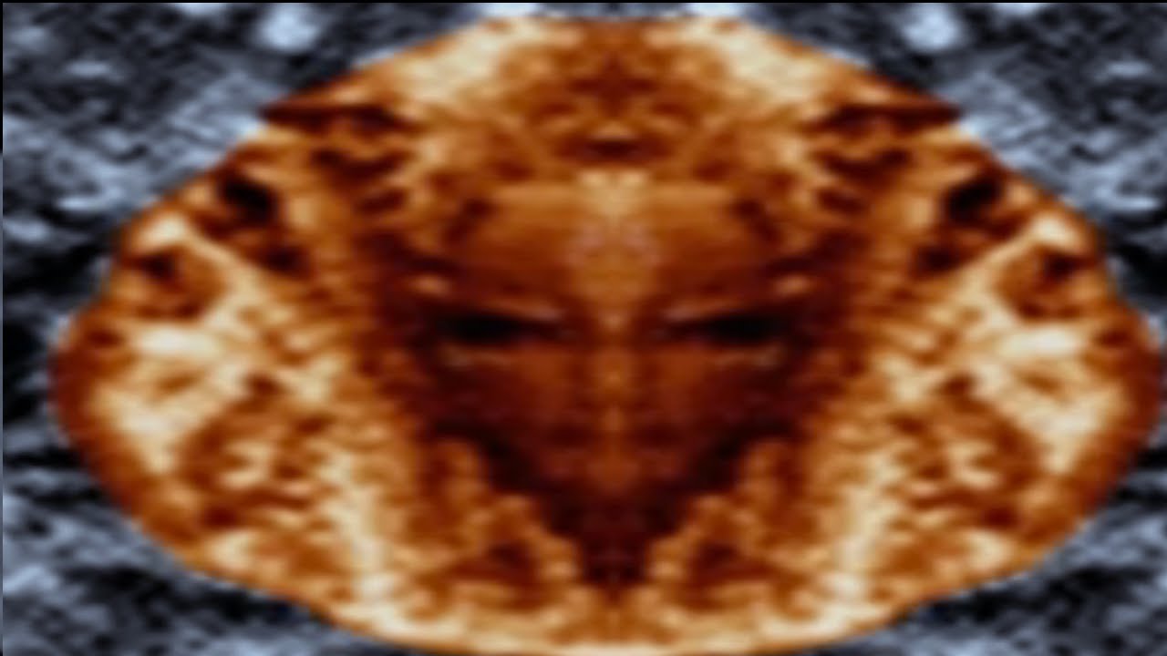 Alien Coins Found On Mars - YouTube