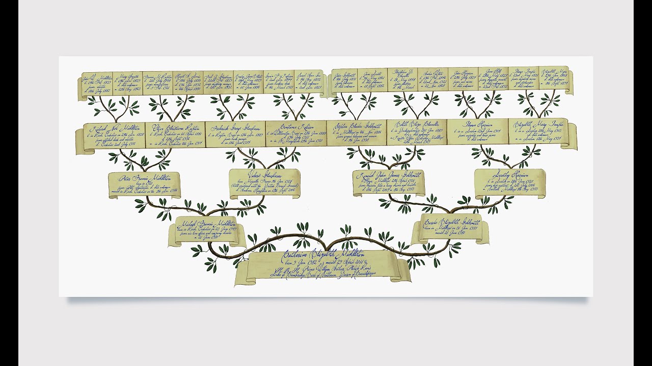 genealogy explained - YouTube