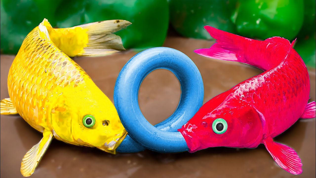 STOP MOTION 🐠 Koi Family Hunting Spiders, Eels, Frogs, Catfish, duck ...