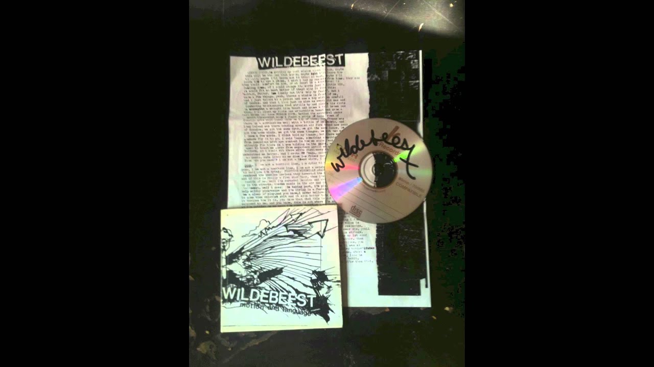 Wildebeest - Wisdom Tooth - YouTube