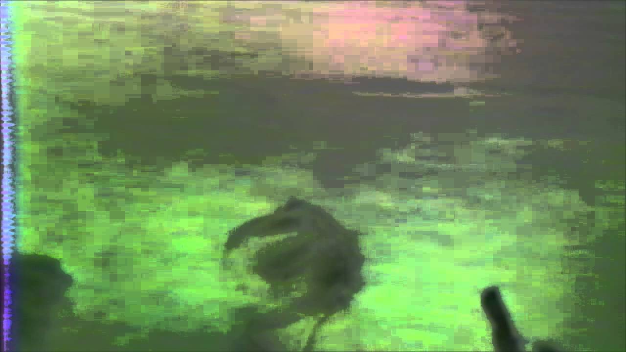 1981 82 Alva Pool - YouTube