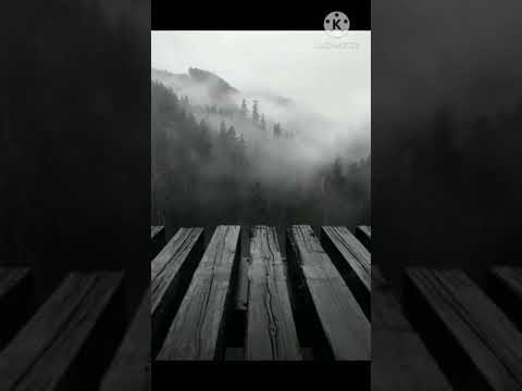 şiir sokağım burdan gidiyorum bu şehri sana bırakıp gidiyorum