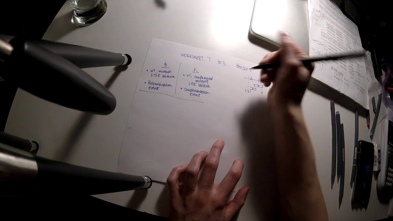 Benzer Experiments with Phage on K and B Bacteria - YouTube