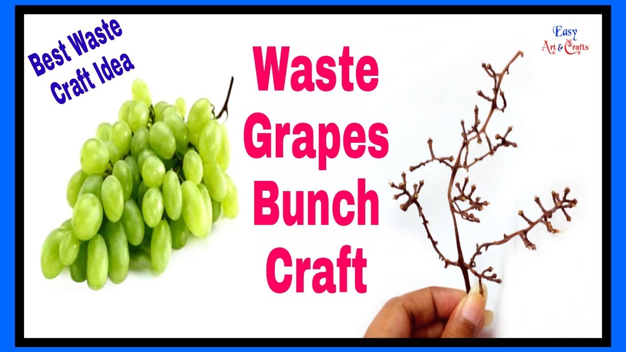 Best Out Of Waste Craft - Waste Grape Bunch Craft - Awesome Way To Use ...