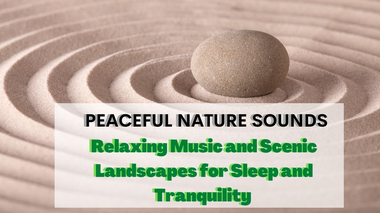 Unwind with Peaceful Nature Sounds: What's the Scenic Landscape Behind ...