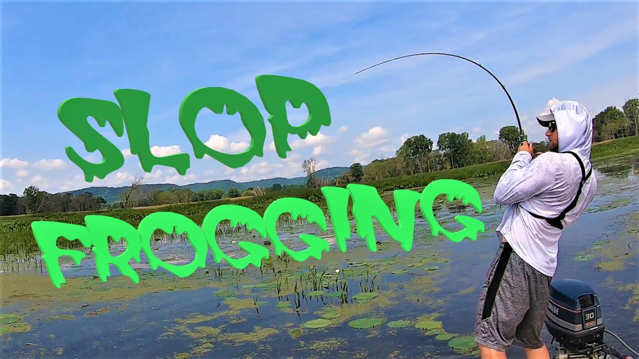Slop Frogging for River Bass - Throwing hollow frogs on the Upper ...