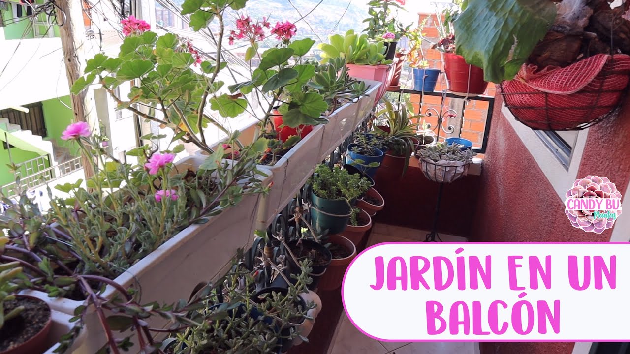 El jardín de mi mamá ACTUALIZADO│Candy Bu - YouTube