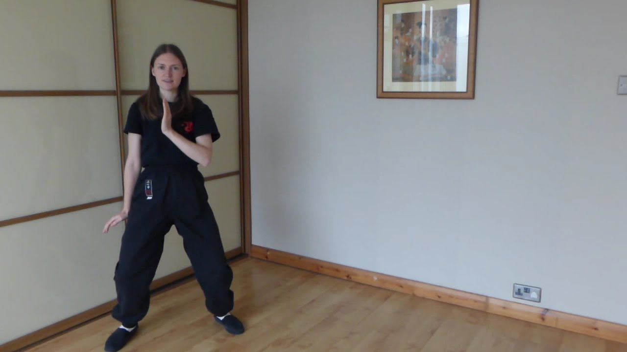 Li Style Tai Chi Form moves 66-69: Mount the Wild Horse - YouTube