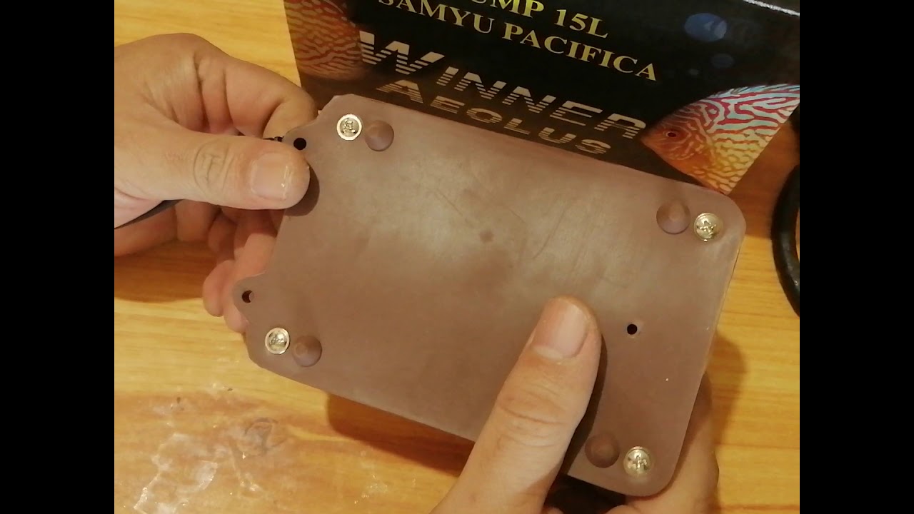 Samyu Pacifica Winner Aeolus 15L, what's the inside? - YouTube