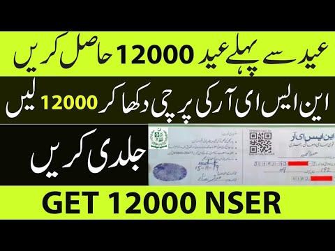 NSER Survey 2021 | Ehsaas Kafalat program Onlin Registration 2021 - YouTube