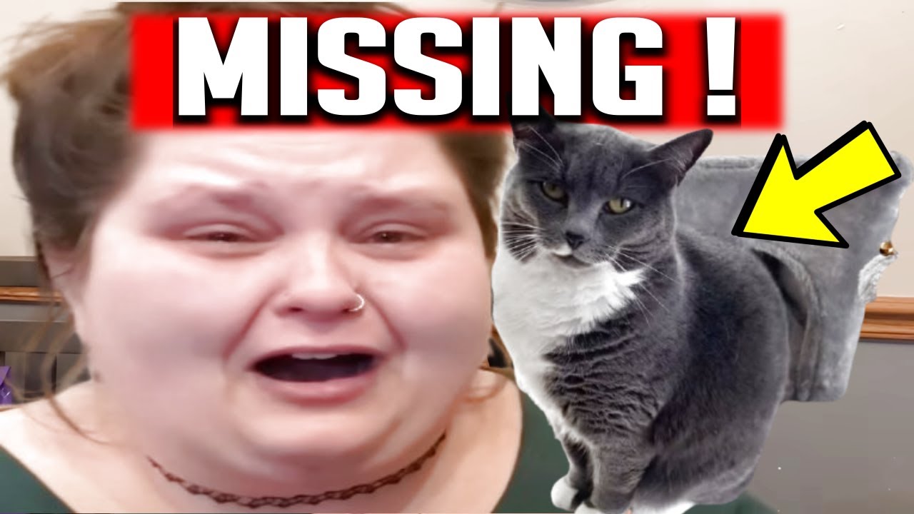Amberlynn Reid Cat Is Missing And She Doesn't Care! - YouTube