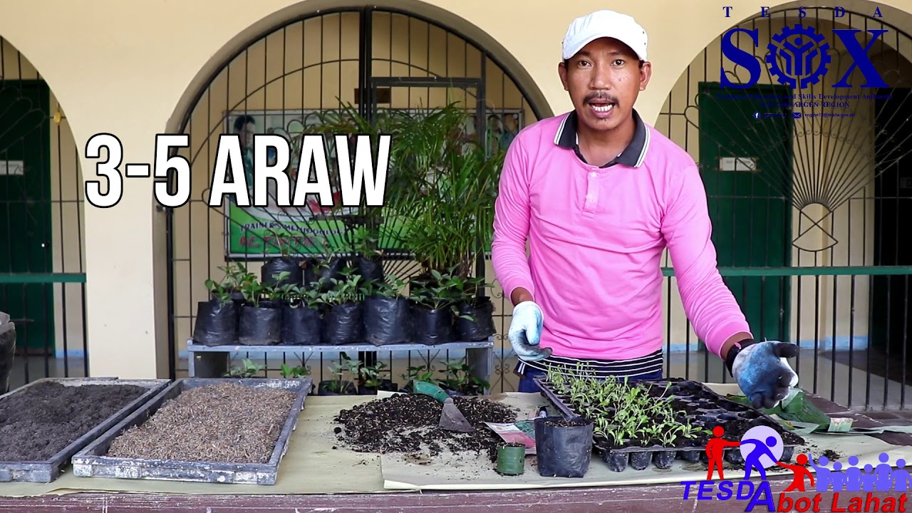 TESDA Region 12 Gardening Part 2. - YouTube
