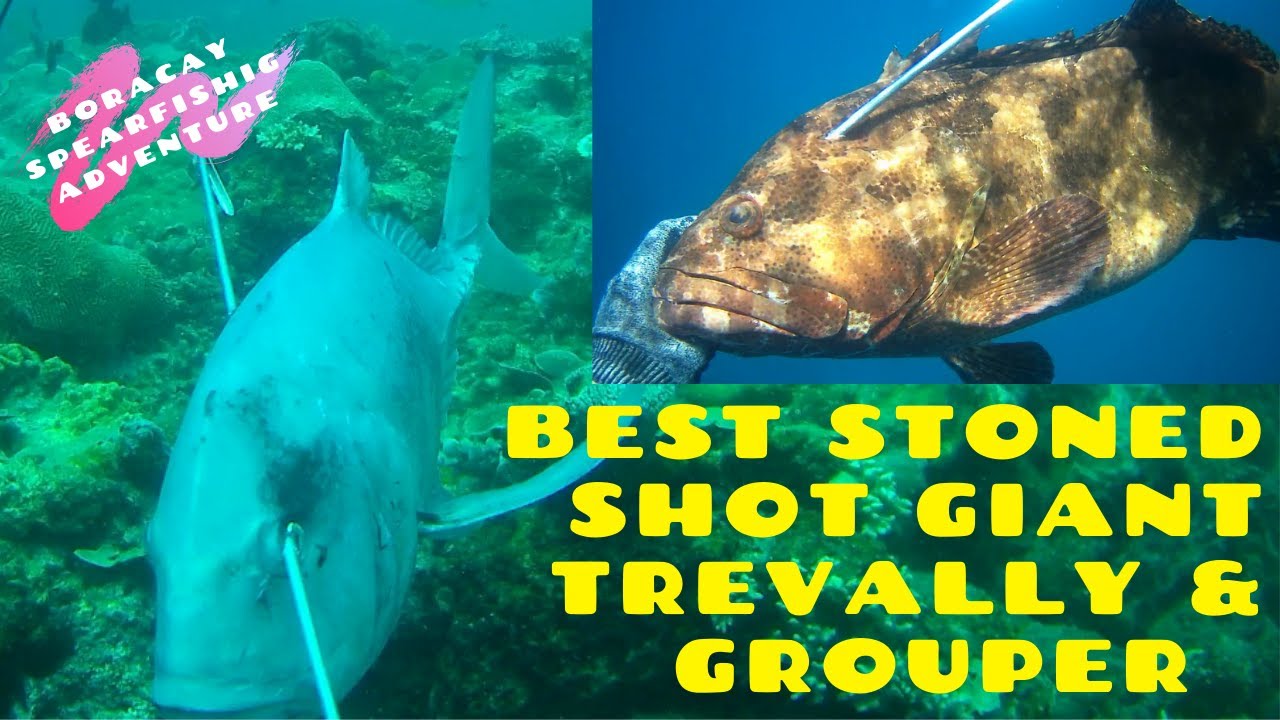 Best Stoned Shot Giant Trevally & Grouper - Boracay Spearfishing ...