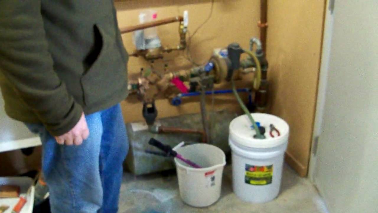 Injection Plant Feeding | Feeding Plants | All purpose Plant Food - YouTube