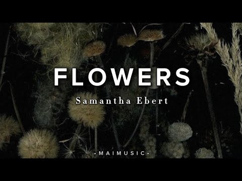 FLOWERS - Samantha Ebert // lyrics - YouTube