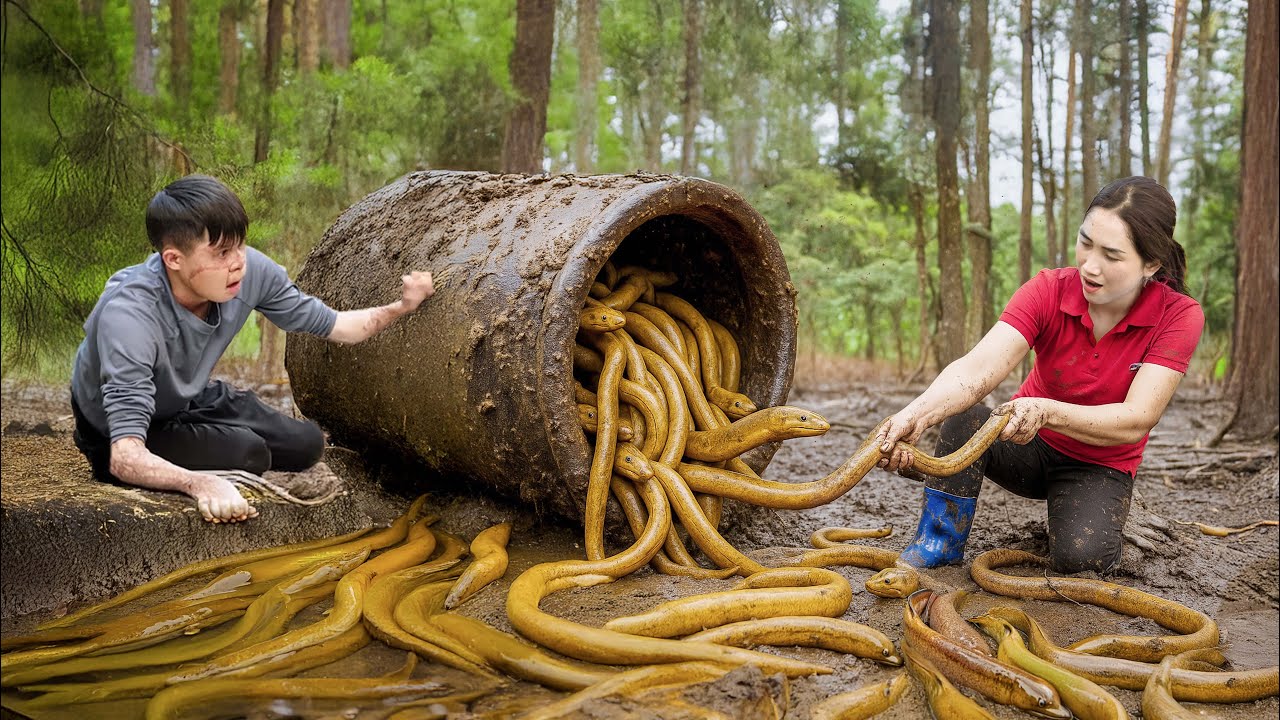 Amazing! Harvesting lots of Giant Eels from Old Ceramic Jar to Sell ...