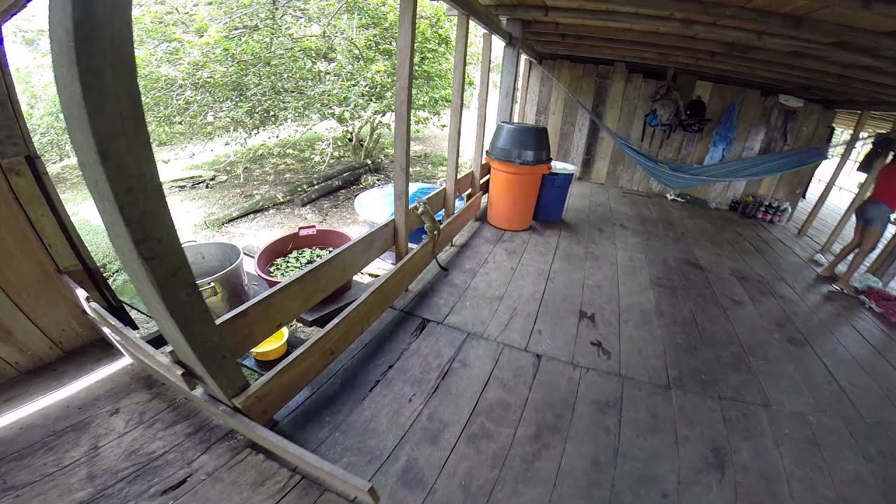 Monkey House, right in the heart of Amazonia. - YouTube