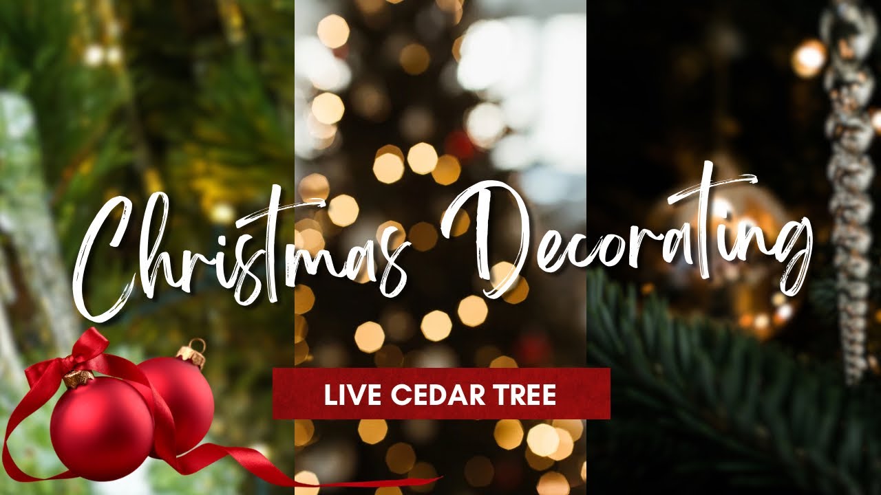 Decorating My Live Cedar Christmas Tree | Christmas 2024 - YouTube