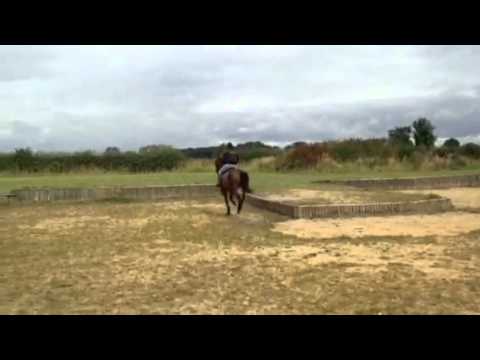 South Trent Pony Club Camp 2015