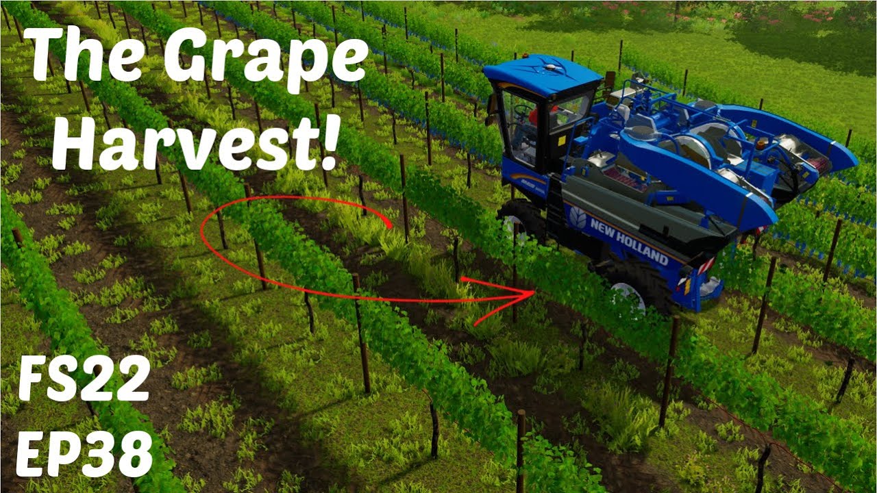 The Grape Harvest! | Farming Simulator 22, Start-from-scratch EP38 ...