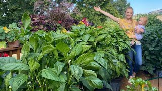 My Deck Container Garden Tour!