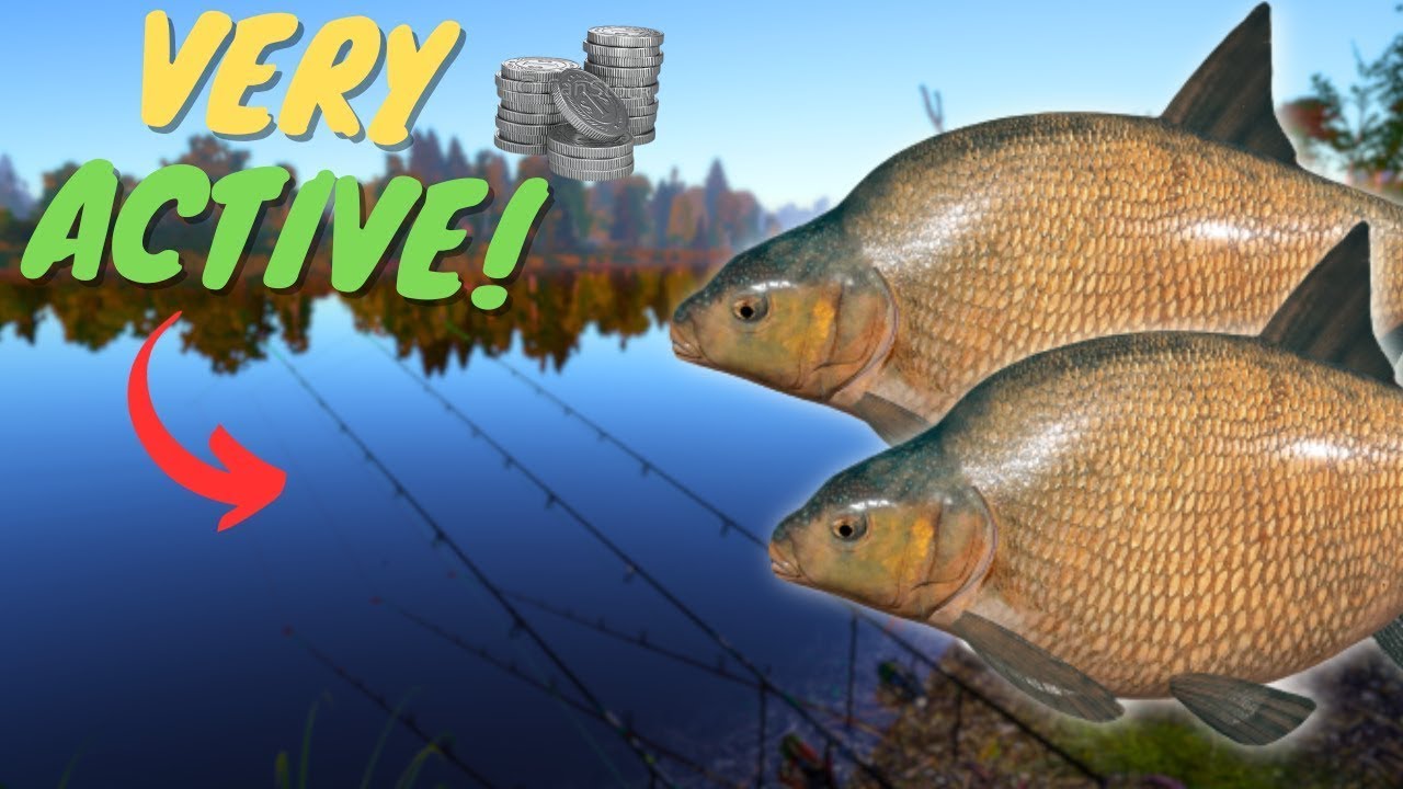 Russian Fishing 4 SPOT BREAM SPOT GRAYLING BROWN TROUT - YouTube