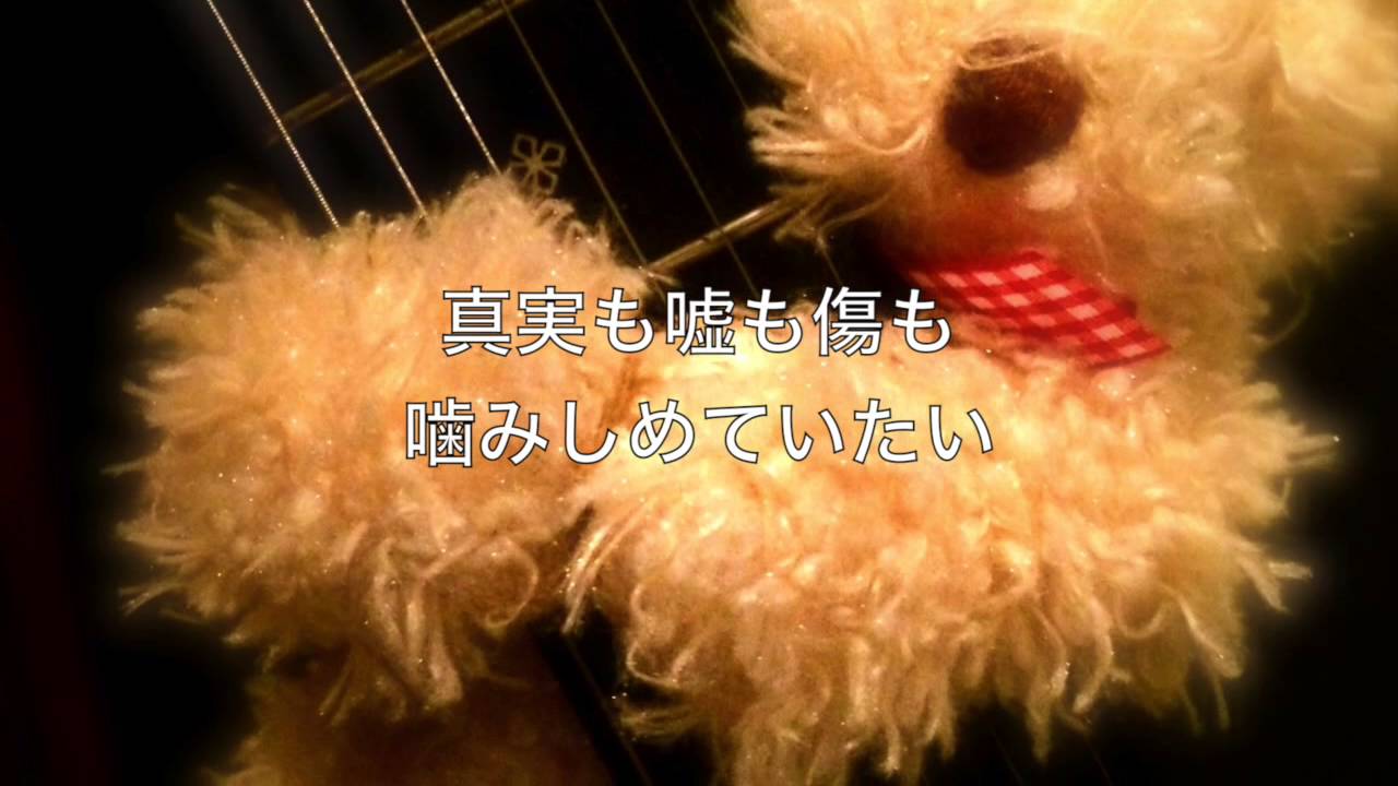 Look Back Again 【Hearty Cynic】 歌詞付き - YouTube Music