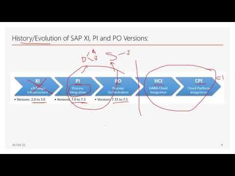 sap pipo instructions - YouTube