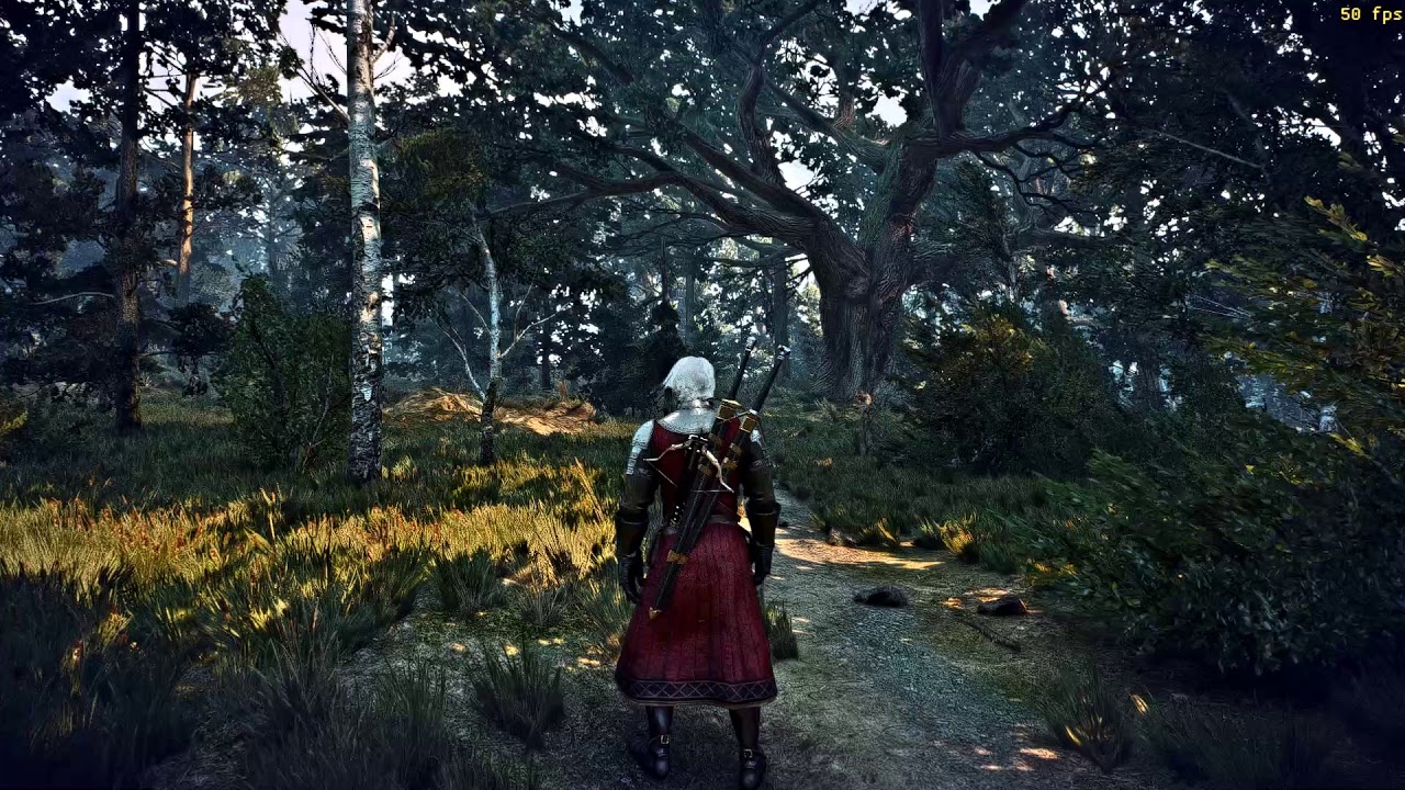 The Witcher 3 2020 Ultra Graphics More Mods - YouTube