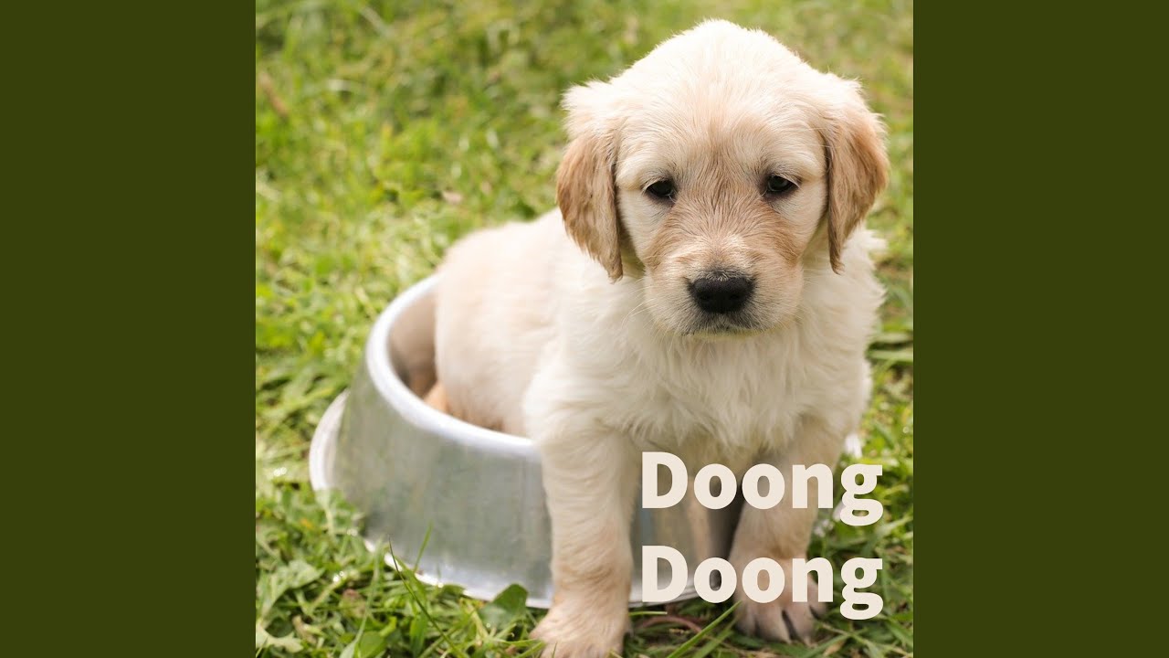 DOONG DOONG - YouTube