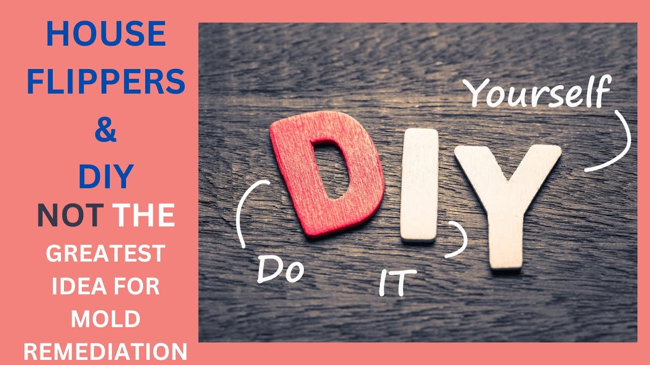 Attention house flippers and DIY regarding mold: This is NOT a DIY ...